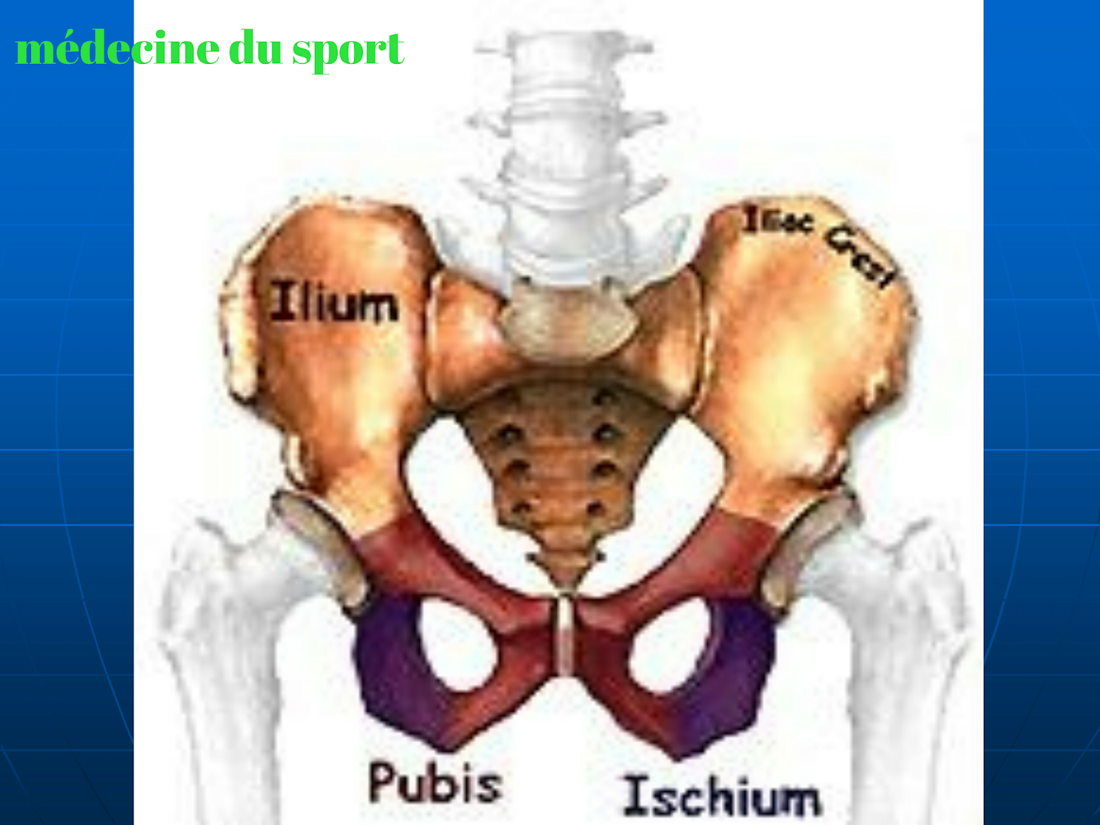 La pubalgie du sportif Traitement et rééducation