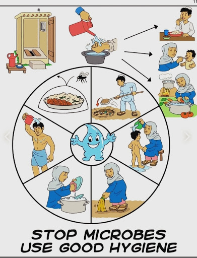 Hygiene | Personal hygiene | Food hygiene | kitchen hygiene