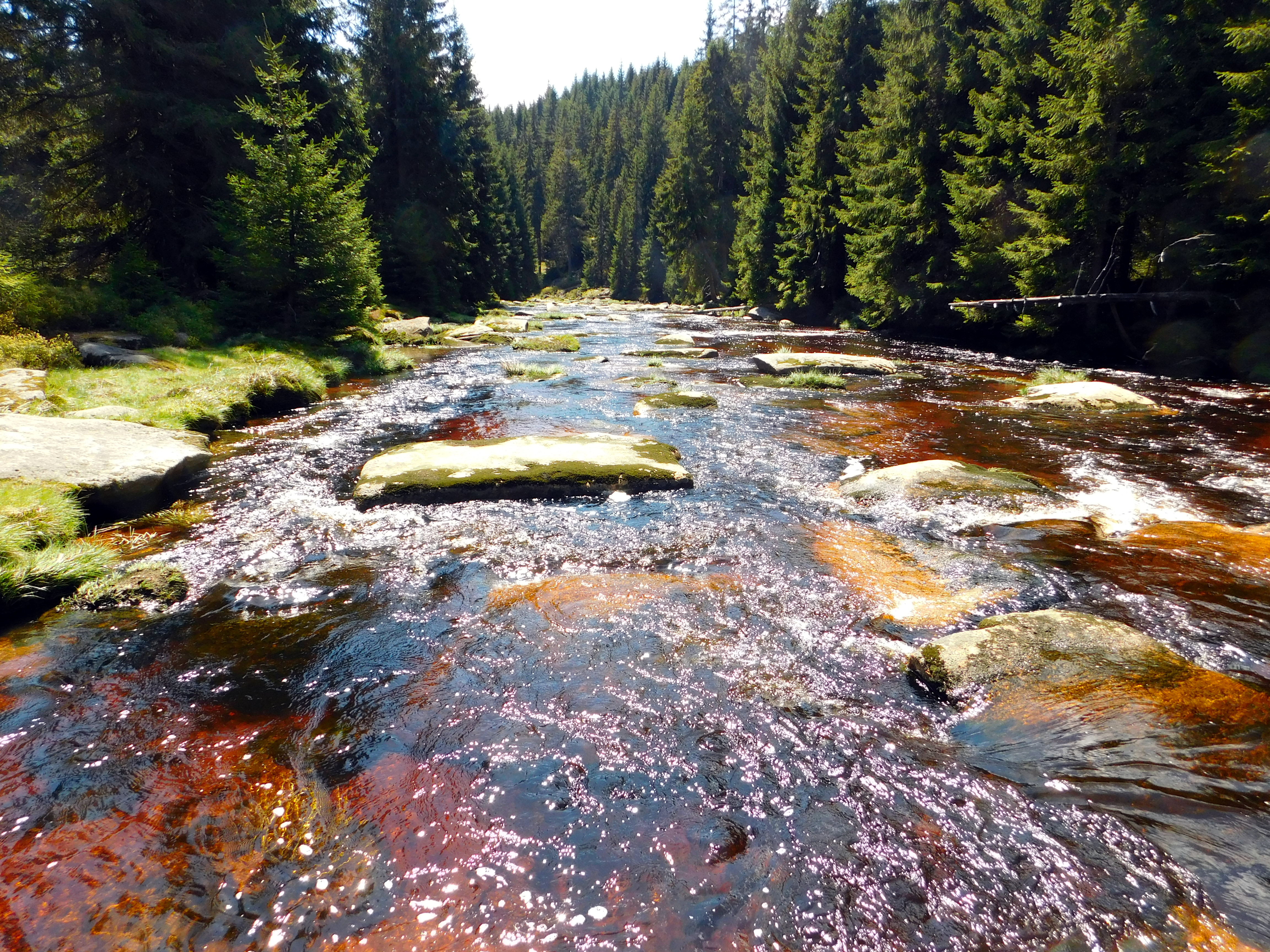 Góry Izerskie: wędrówka z Jakuszyc przez Schronisko Orle oraz rzeka ...