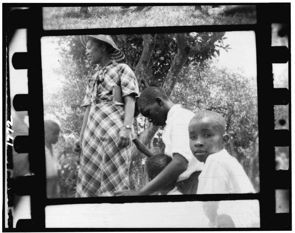 Story of the Week: Drenched in Light