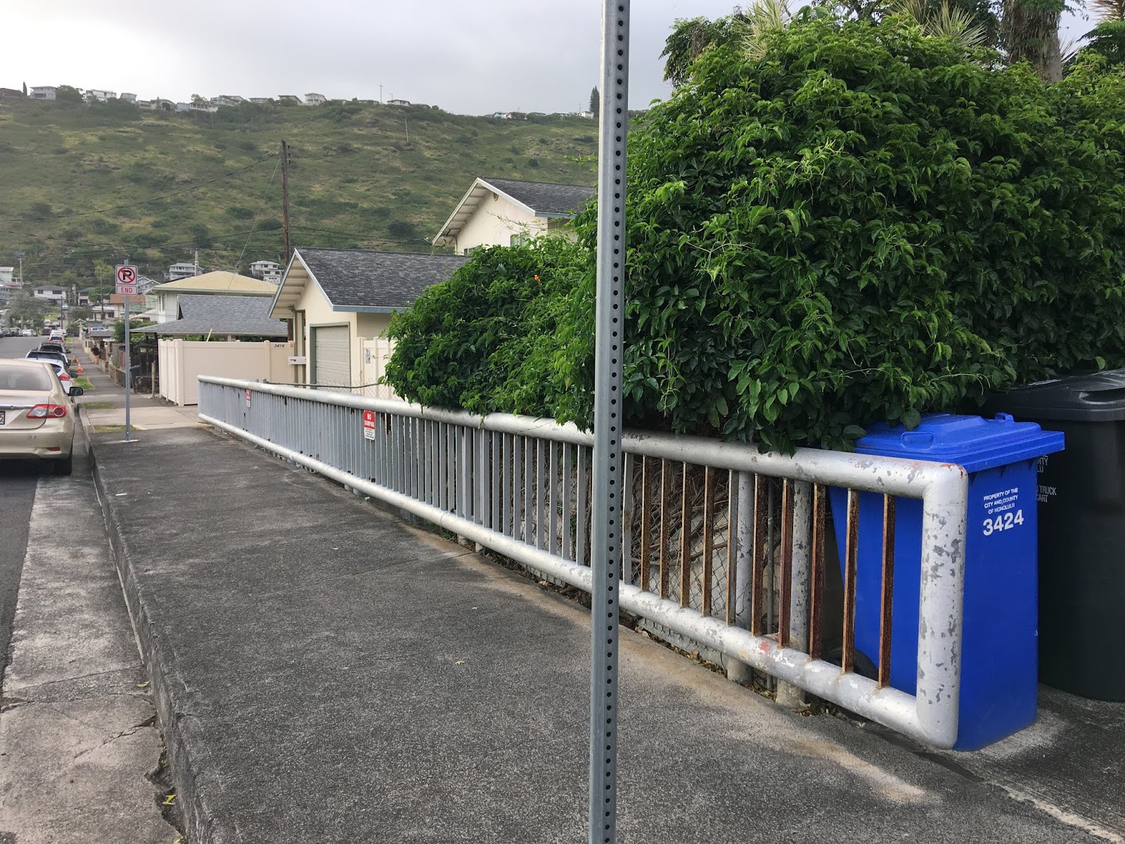 Video: Pukele, Wai‘oma‘o, Palolo Streams