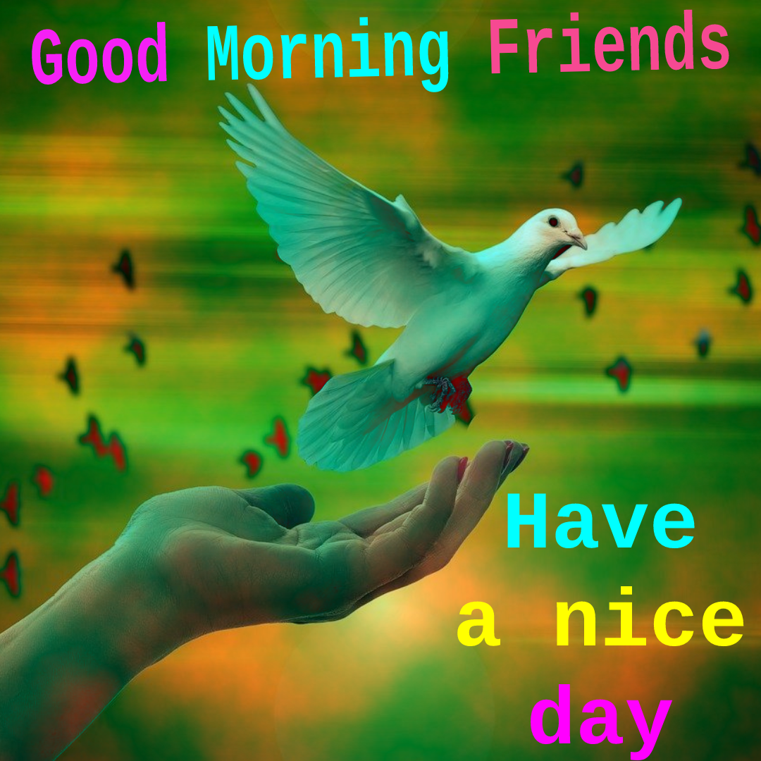 Good Morning Wishes: Good Morning Greeting Wish Pictures including ...