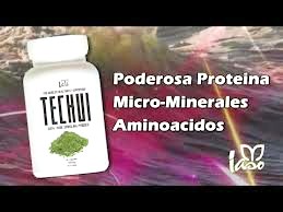Faro Saludable: Iaso Techui