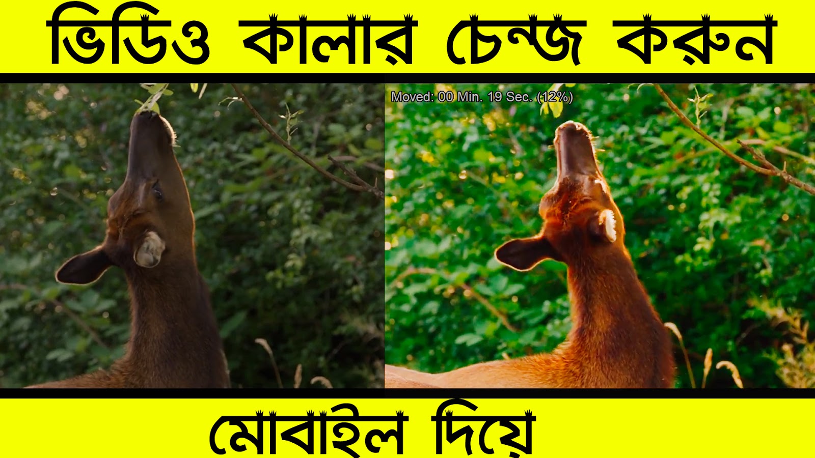 Change Video Background Color Use Mobile Change Video Background Color Use Mobile