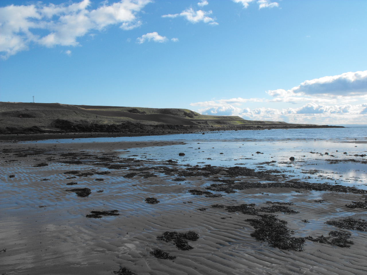 Largo Baywatch: Shell Bay and Ruddons Point