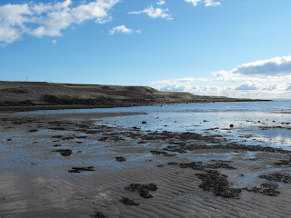 Largo Baywatch: Shell Bay and Ruddons Point