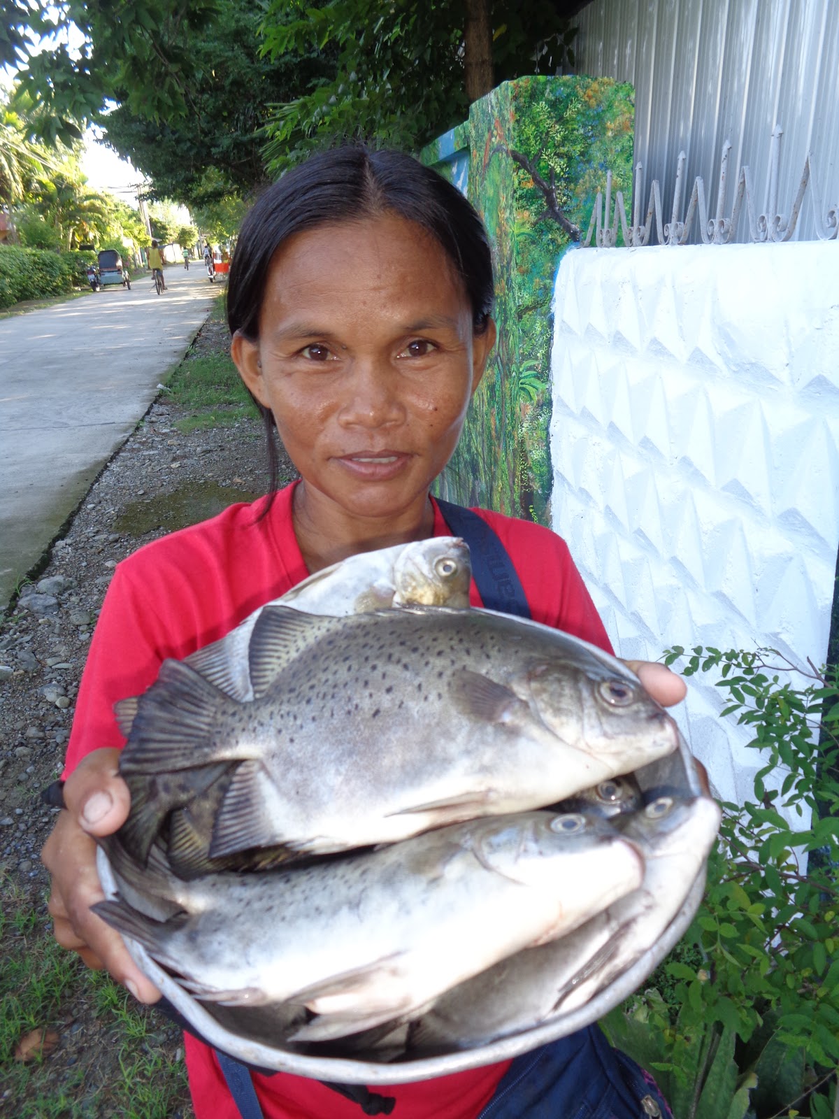 Naturalism - the Eighth Sense: Your favorite "Kapiged" Fish