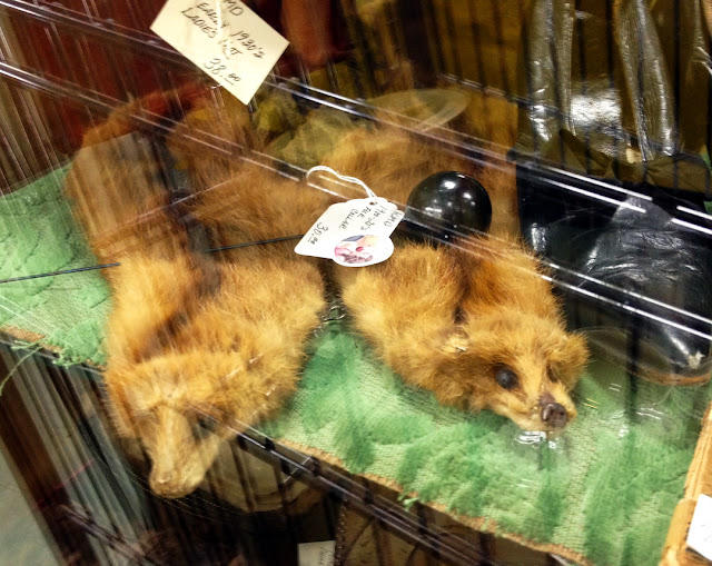 20 WEIRD ITEMS FROM THE COLUMBUS (WI.) ANTIQUES MALL! ~ Popthomology
