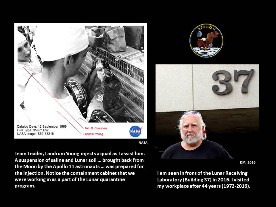 Fifty Years Ago at the Lunar Receiving Laboratory (1969-2019)