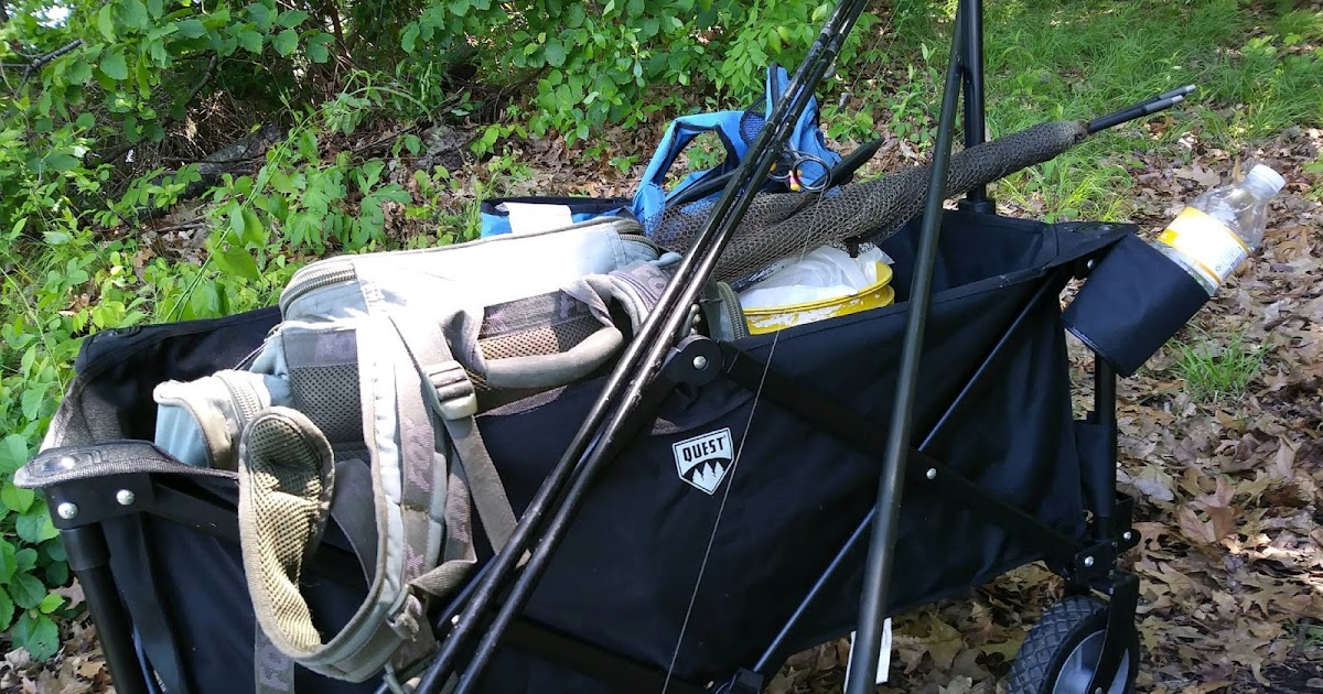 Rhode Island Carp Fishing: My Cart