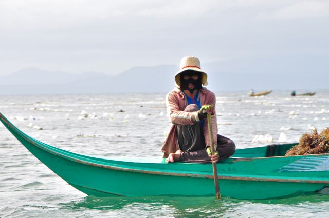 In Pinay's footsteps: LAYAG-LAYAG YELLOW BOAT VILLAGE: SEAWEEDS