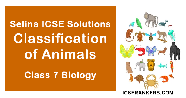 Selina Chapter 3 Classification of Animals Questions Answers Class 7 ...