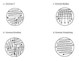#BE_MUHARRIKAH*MIKRO: ISOLASI MIKROBA