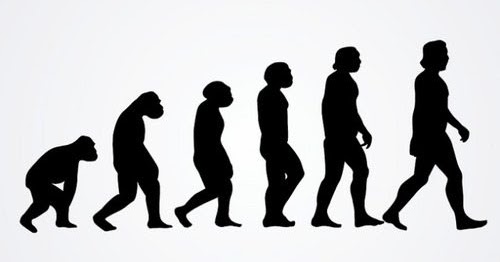 Introduction To Anthropology And Its Types