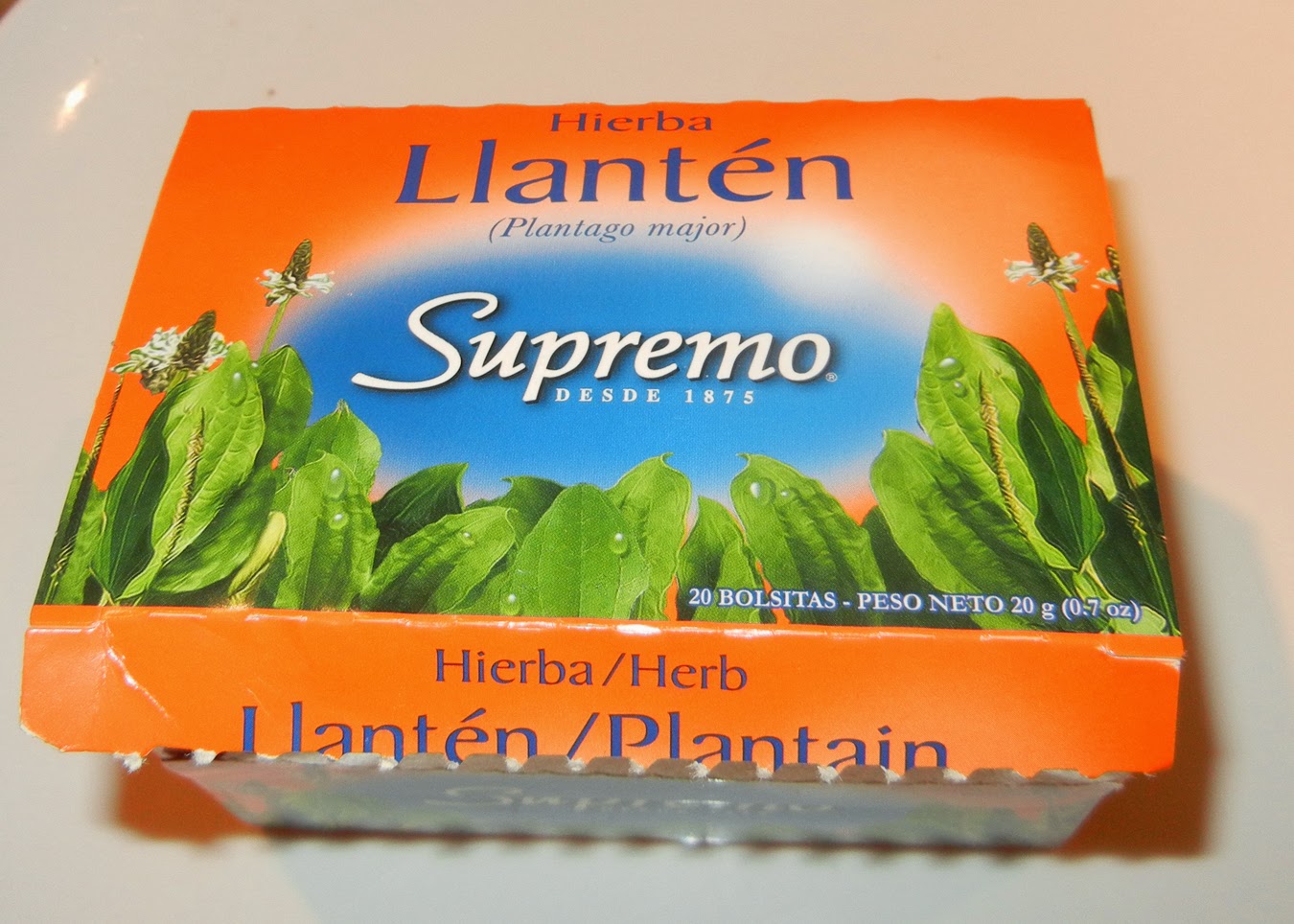 Our Mission in Concepcion, Chile: The Herbal Teas of Chile