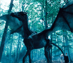 Flying Lesson: Thestral