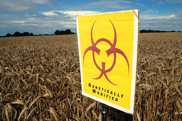 Gmo Foods List Uk gmo-foods-list-uk