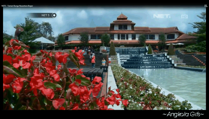 Animation Wallpaper: Animasi Taman Bunga Nusantara - Gif