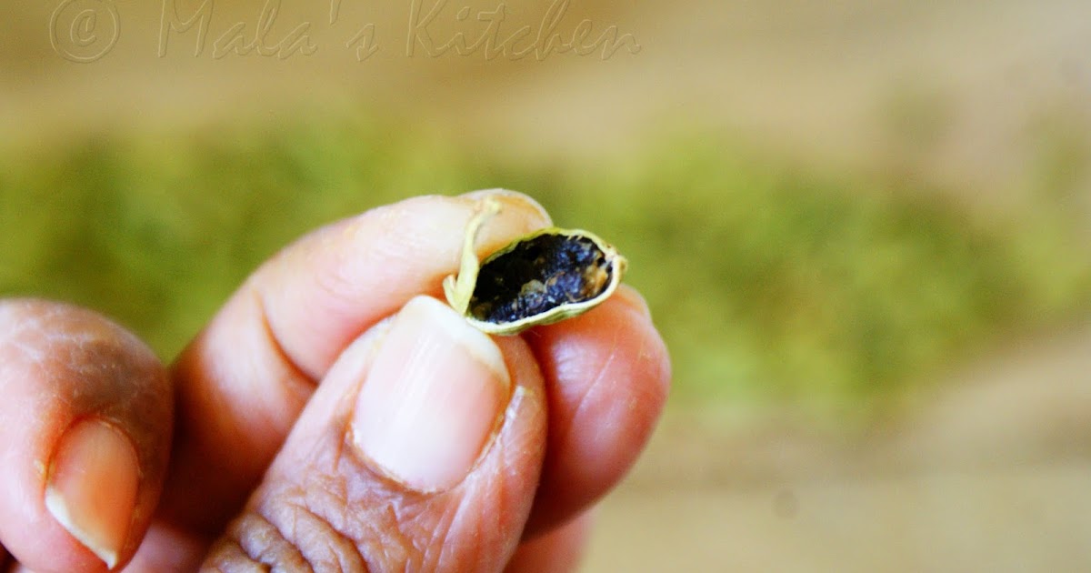 Cardamom Powder | Elakki Pudi | Eelarshi Pudi - Malas-Kitchen