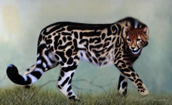 curiosidades de animales y especies : felix