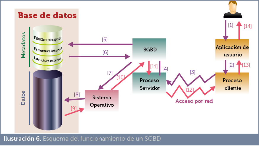 Sistema Gestor de Bases de Datos o SGBD: 2019