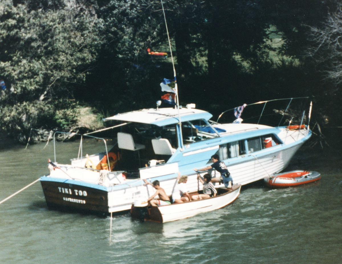 Celtic Safari: Golden Fin & Tiki Too