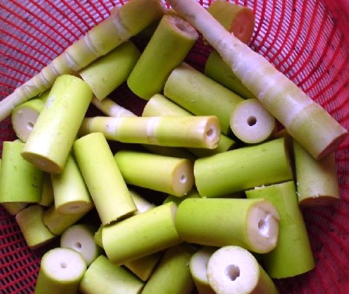 Buluh Madu: Khasiat dan manfaat Buluh Madu / Bambu Madu