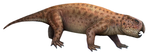 Palaeofauna: An Overview of the Vertebrates of the Lossiemouth ...