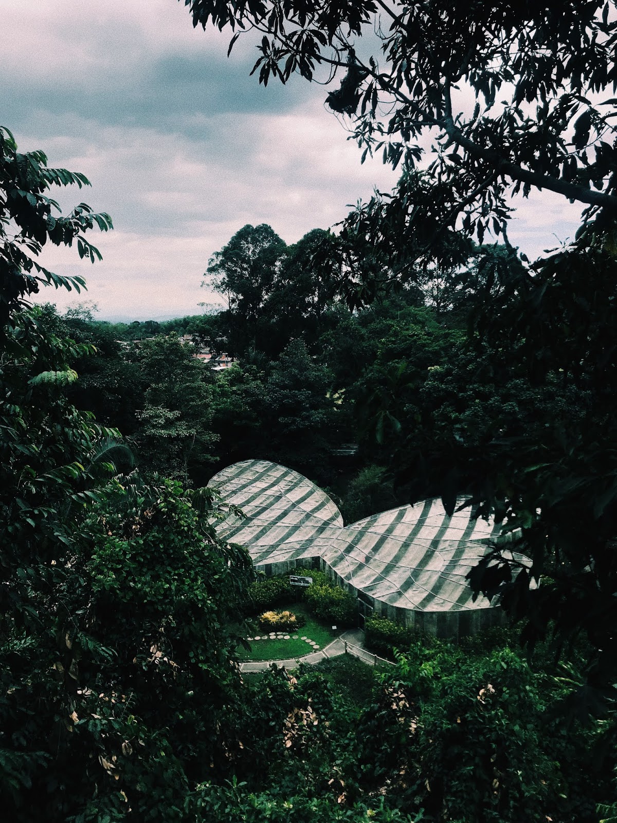 De paseo por Calarcá, Quindío.