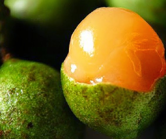 Mamones en Miel | Recetas 100% Nicaragüenses