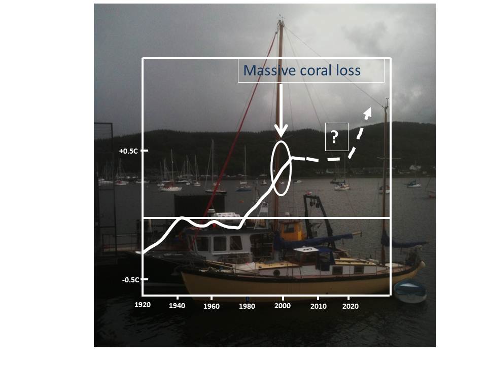 Musings from the Crow's Nest