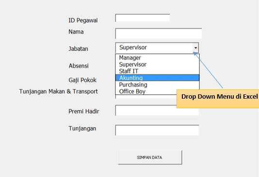Cara Membuat Drop Down Menu pada Form Menggunakan Fungsi VBA di Excel ...