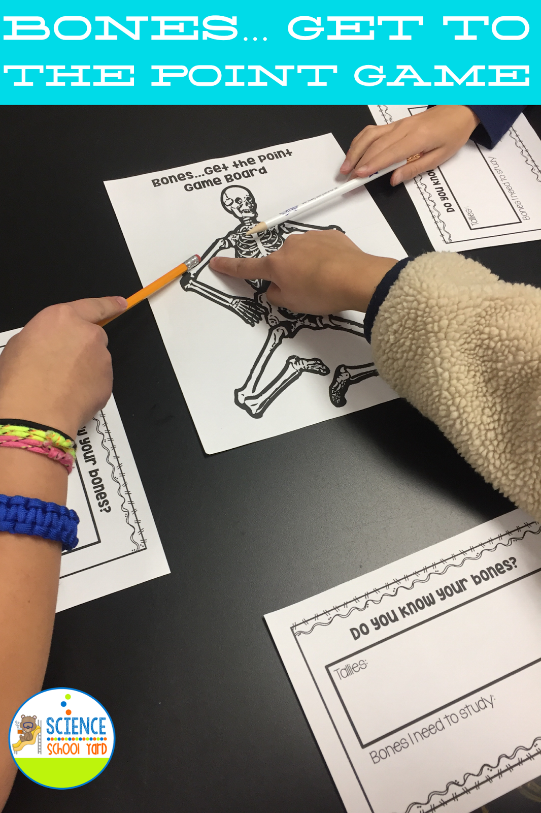 6 Skeletal System Game Ideas for Studying Bones! - The Science School Yard