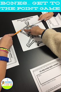 6 Skeletal System Game Ideas for Studying Bones! - The Science School Yard