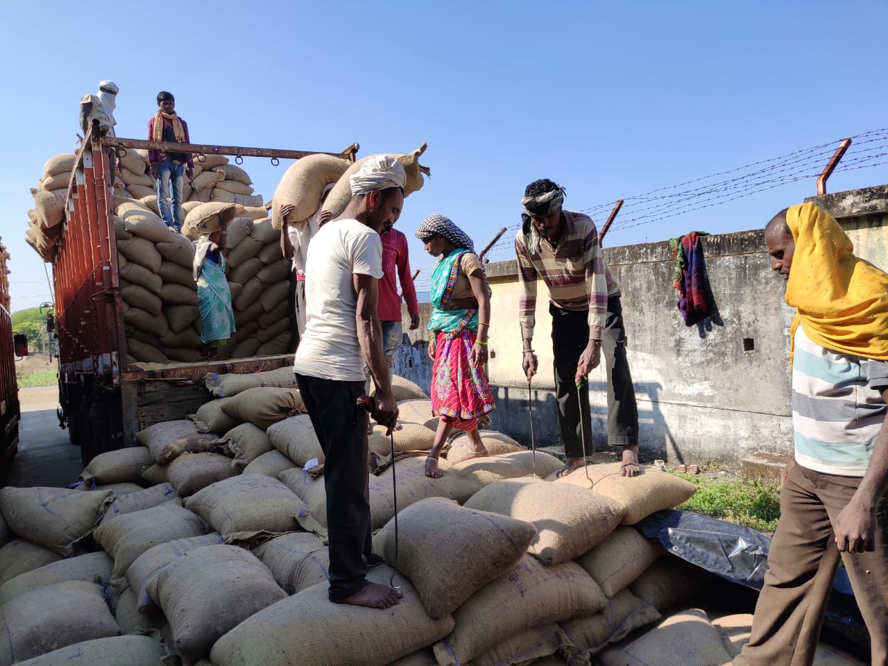 नागरिक आपूर्ति निगम के अधिकारियों की साठगांठ से हम्मालो का शोषण ... नागरिक आपूर्ति निगम के अधिकारियों की साठगांठ से हम्मालो का शोषण ...