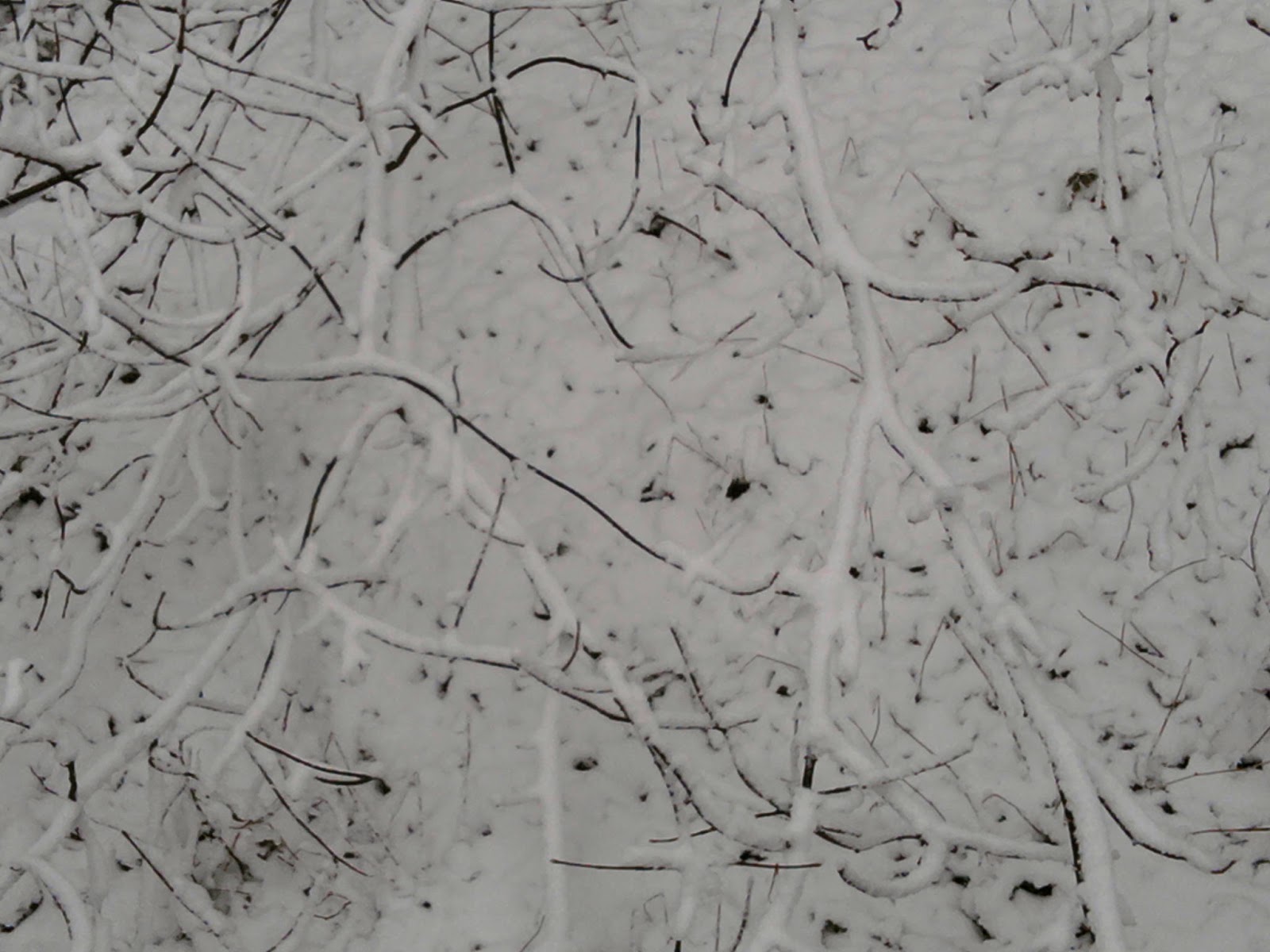 Hannah Lamb: Frozen fabric