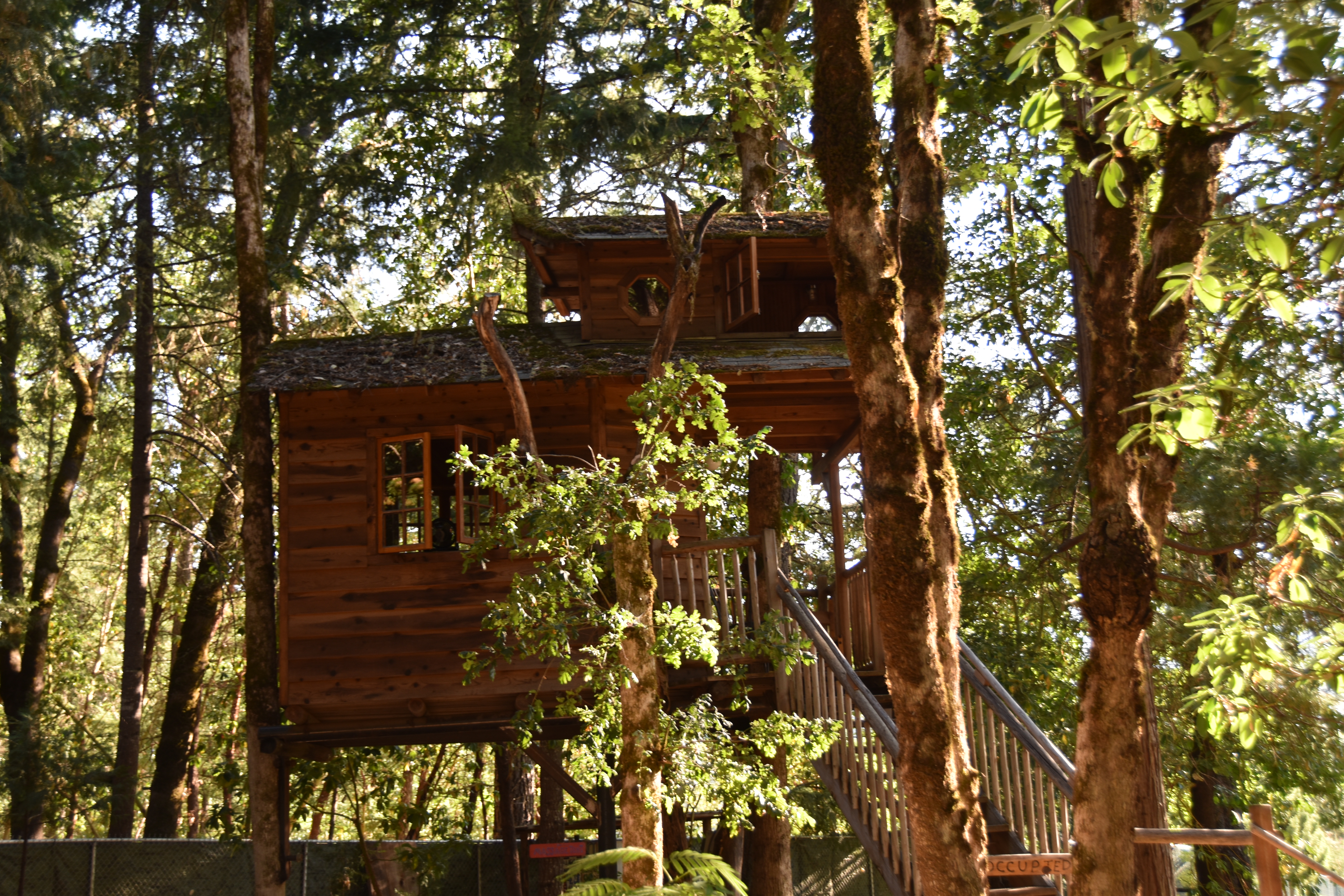 UnCaged Travels: Tree Resort or Treesort