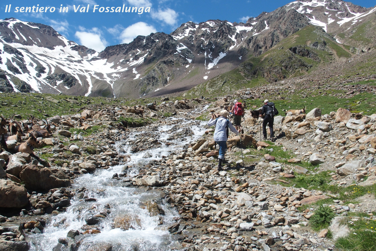 Fernando Gardini: Baita Lazaun e Val Fossalunga