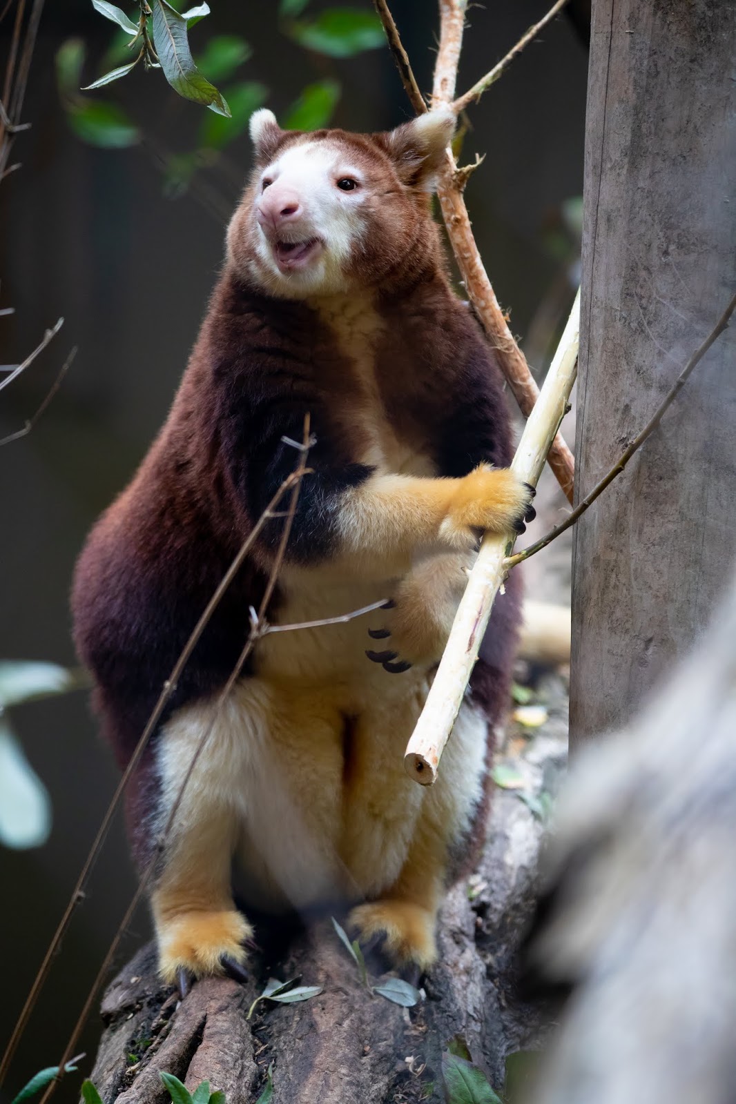 Our Exhibits Crew: Making Our Green Wishes Come True!