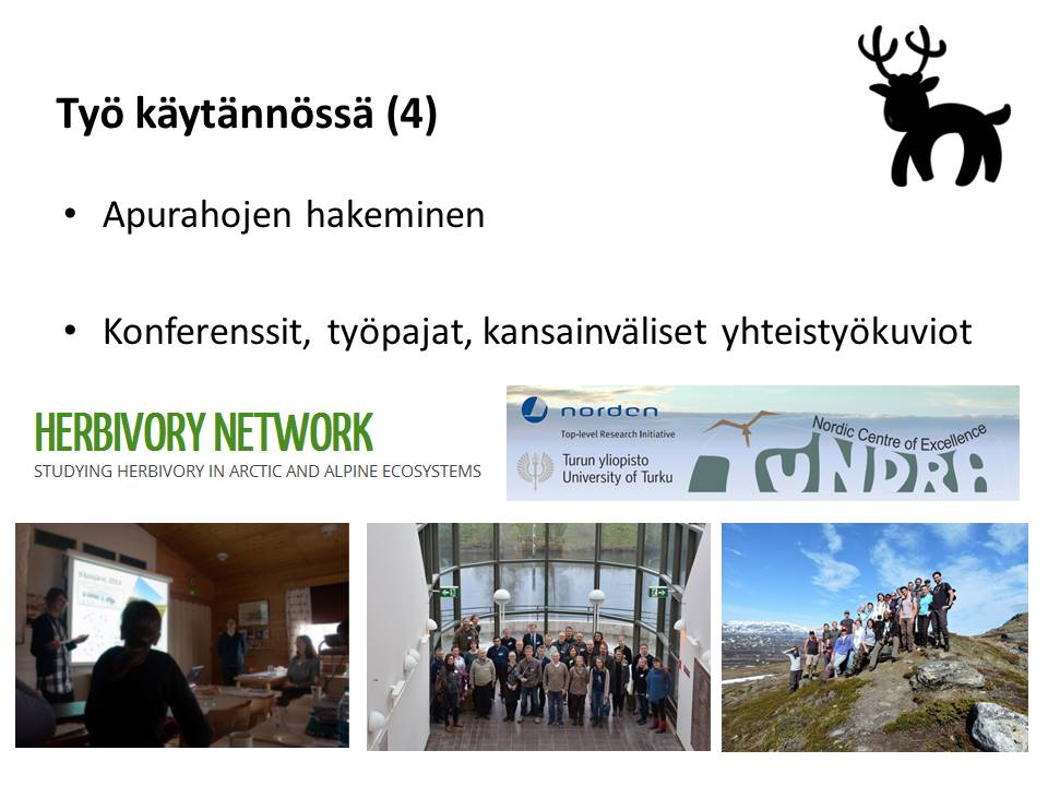 Tieteen Kananpojat: Esitys tutkijan arjesta