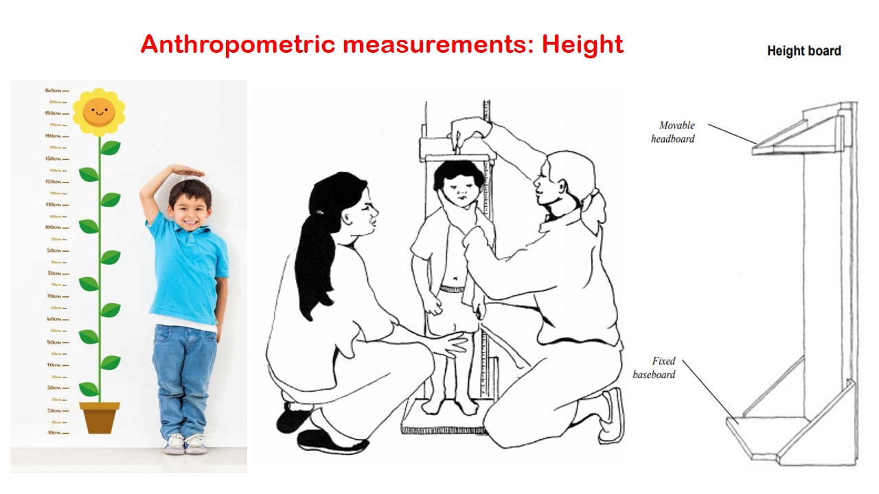 The Family physician : Anthropometric assessments