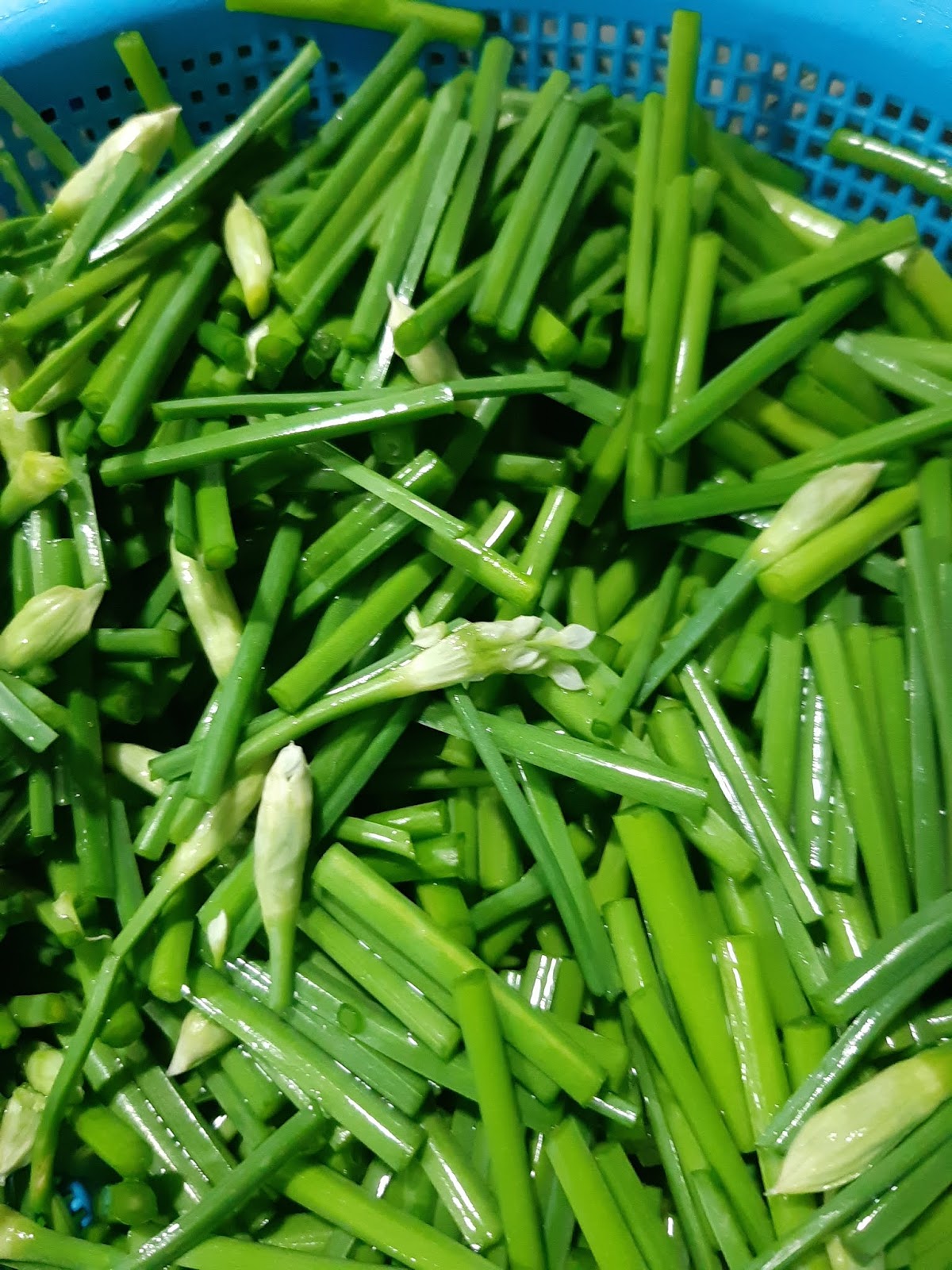 24+ Inspirasi Baru Bunga Kucai