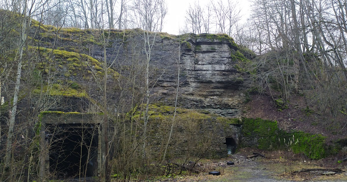 Päevik: Lapsepõlve rohtunud teed