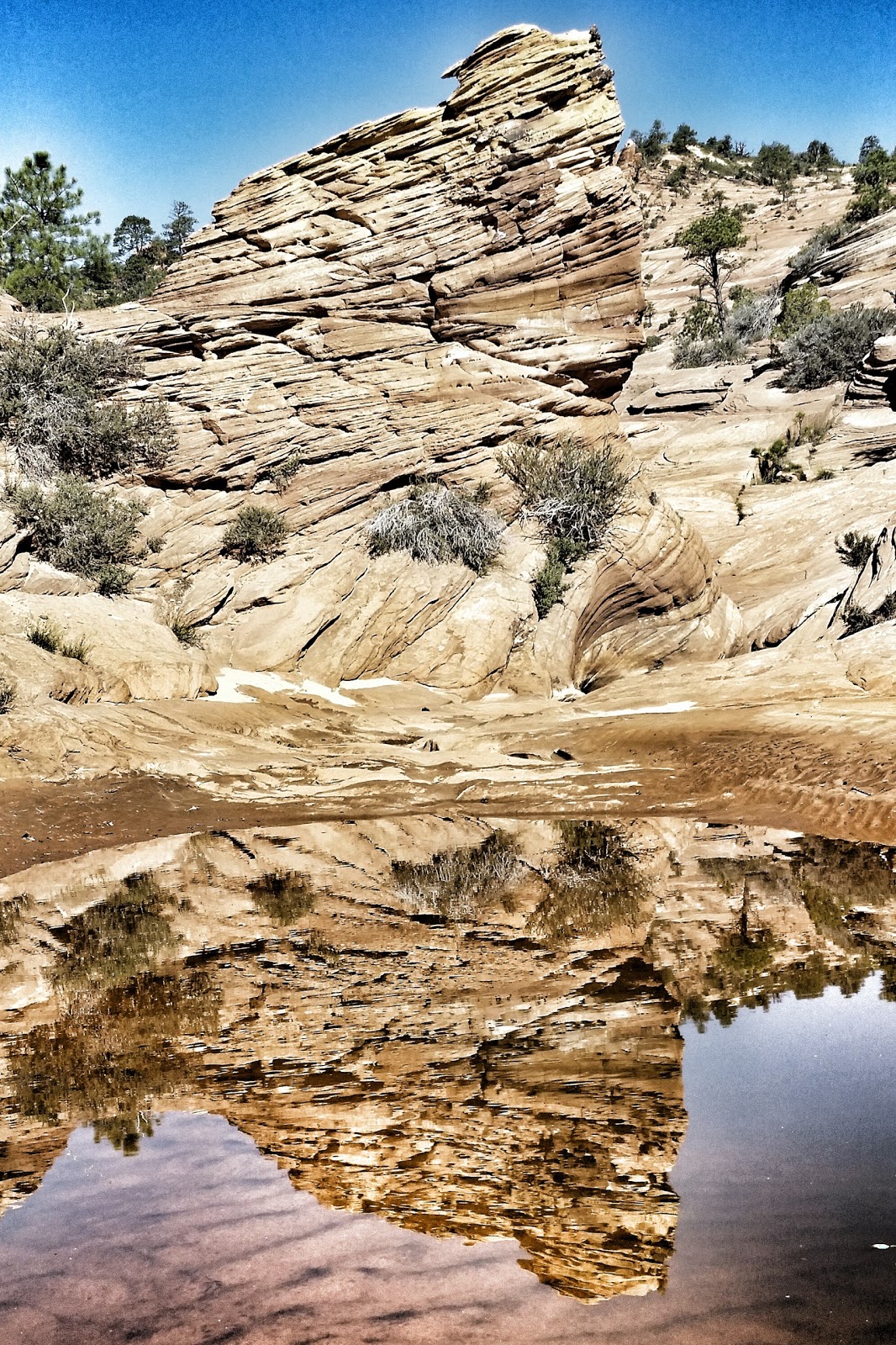 Canyoneering Water Canyon | Backcountry Post