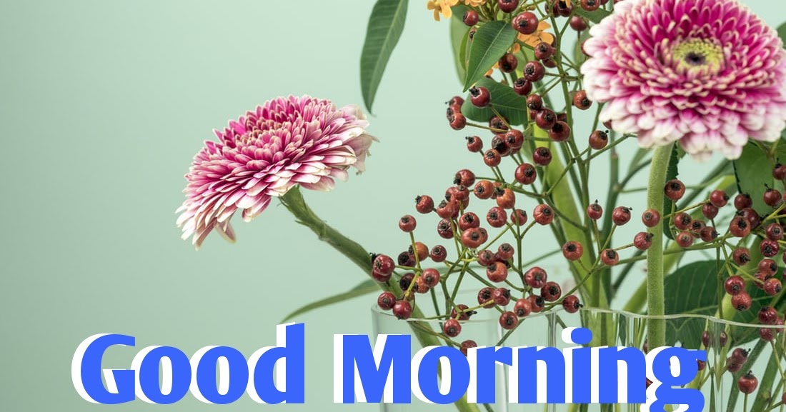 Top 10 Good Morning Images greeting Pictures,Photos for Whatsapp - Good ...