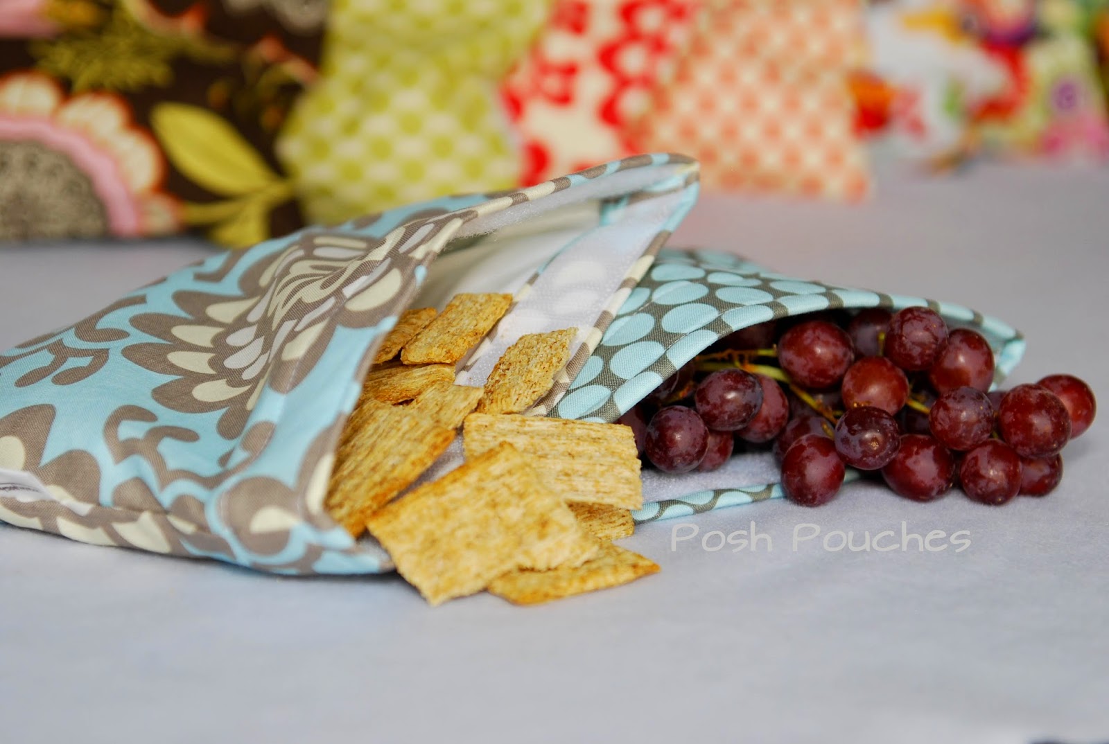 Mish-Mosh and Good Nosh: Awesome Product Share! Posh Pouches- Fun ...