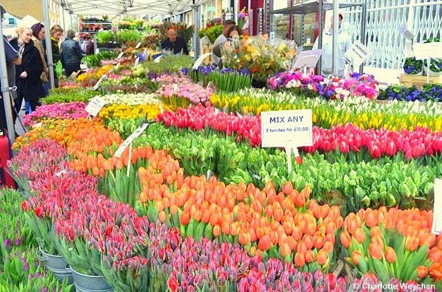 Columbia Road Flower Market in East London - a special Sunday outing