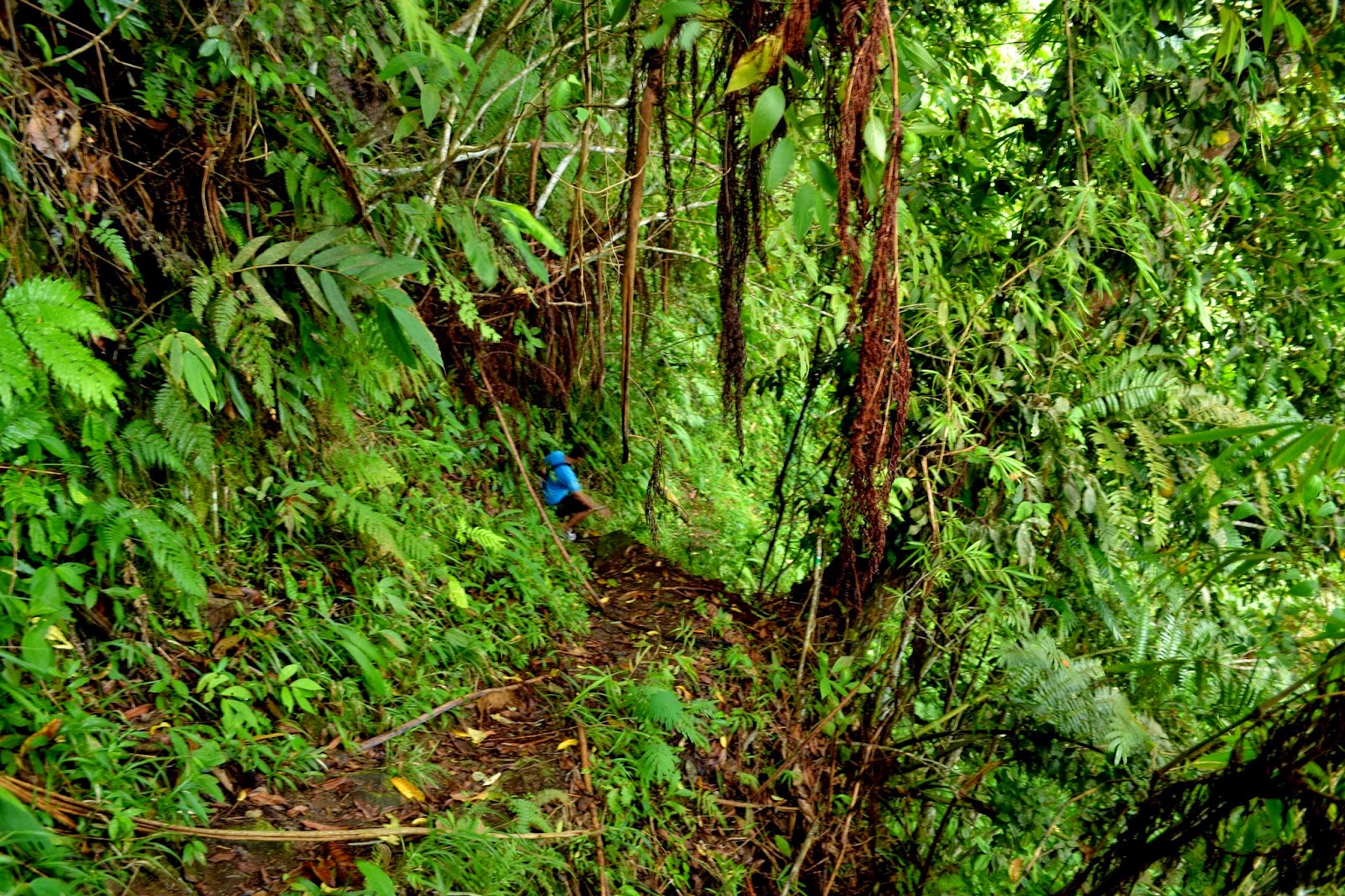 Waterfalls.ph: Tudaya Falls ~ Davao del Sur ~ Waterfall Warrior