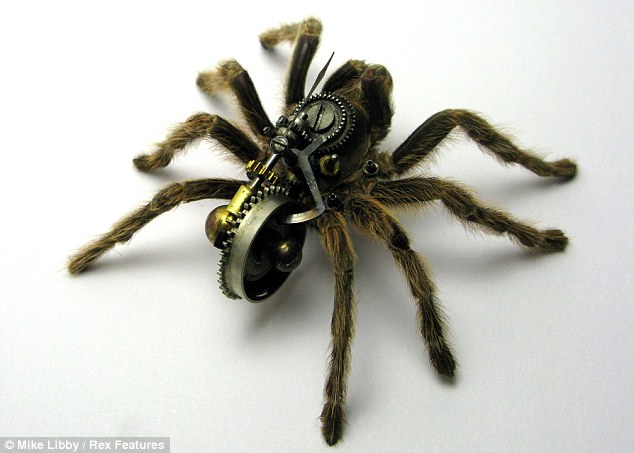 All sorts of bugs and ticks: The clockwork creepy crawlies you'll come ...