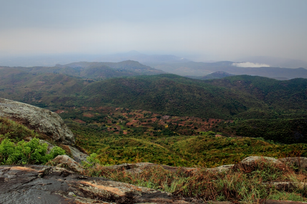 Tamilnadu Tourism: Yercaud